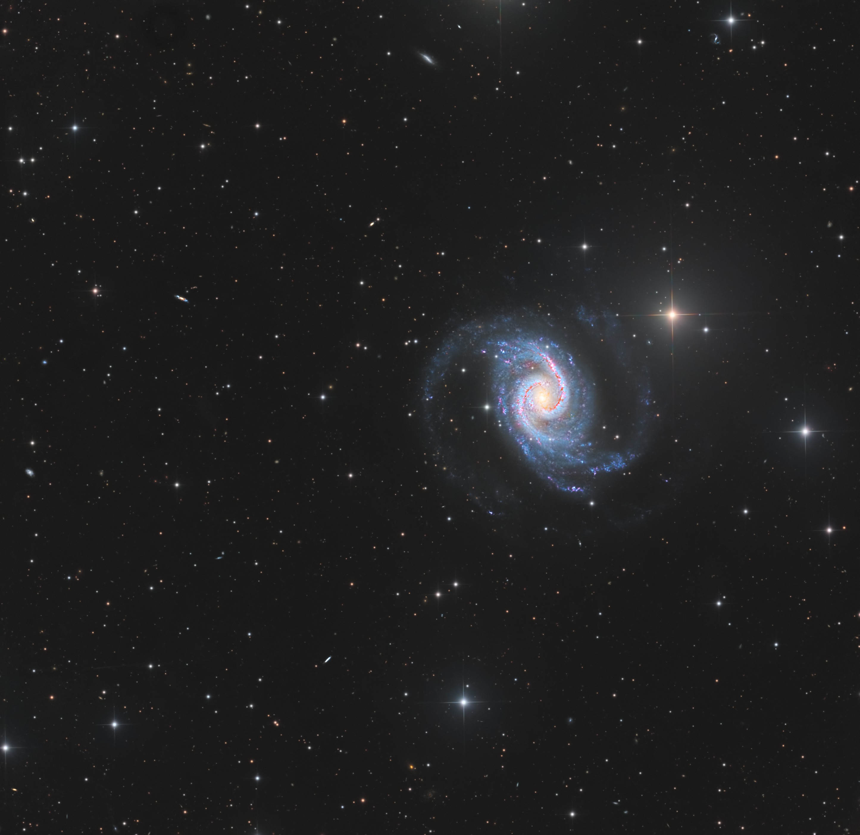 NGC 1566- The Spanish Dancer | Telescope Live